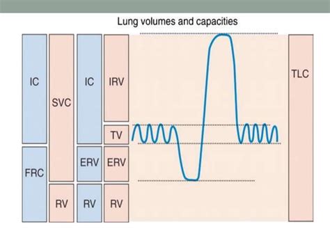 Preoperative Assessment For Cardio Thoracic Surgery Ppt