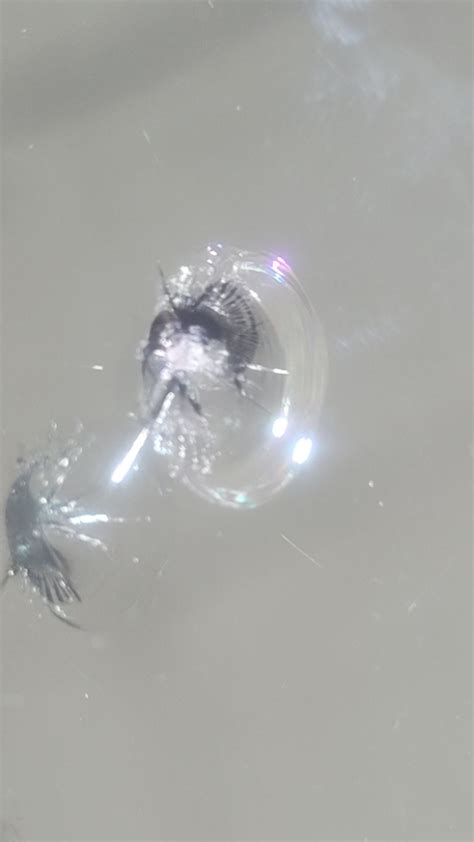 포천 양주 의정부 남양주 동두천 차 유리복원 유리용접k3 차량 차앞유리 돌빵패임찍힘금이감금이번짐 차유리 스톤칩 수리롱크랙 복원 업체 네이버 블로그