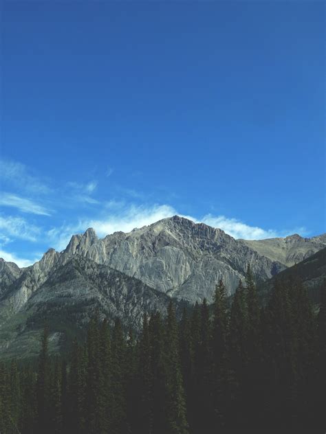 Free Images Landscape Tree Nature Forest Wilderness Snow Cloud