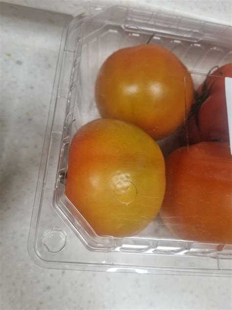 안익은 토마토 맛없죠 Mlbpark