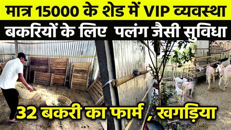 15000₹ में बकरियों के लिए साधारण मगर आलीशान Goat Shed और इतनी Vip