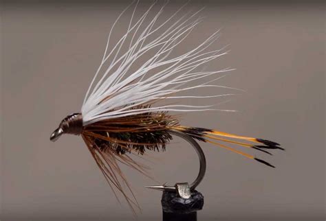 Video How To Tie The Western Coachman Orvis News