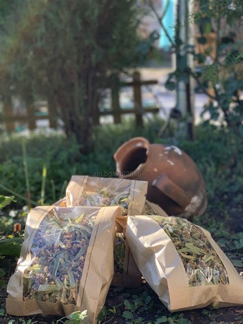 Сух липов цвят Здравословни и билкови продукти София Изсушеният липов цвят е нова реко