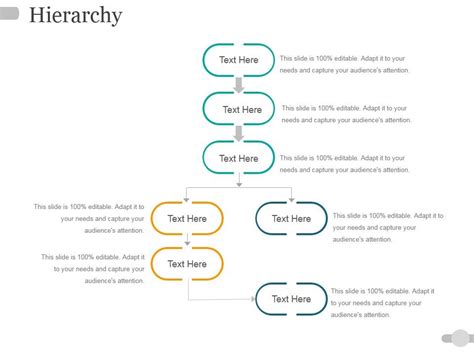 Hierarchy Ppt Powerpoint Presentation Infographics Guidelines