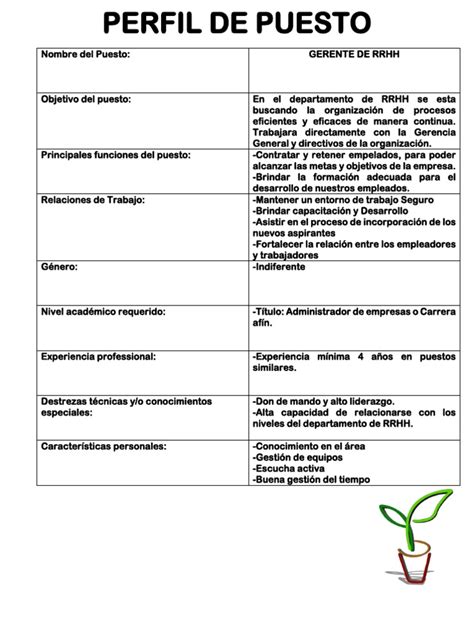 Perfil De Puesto Pdf