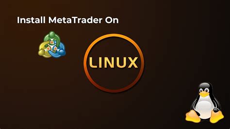 How To Install Metatrader On Linux Youtube