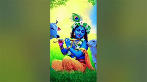 දෙවි පිහිටයි Youtube