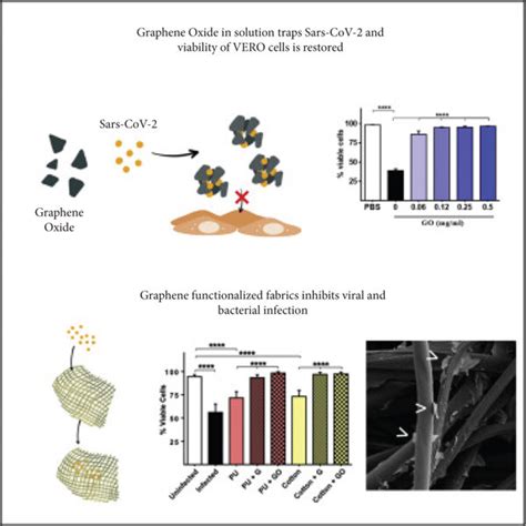 Schematic Diagram To Trap Sars Cov 2 Using Graphene Oxide And