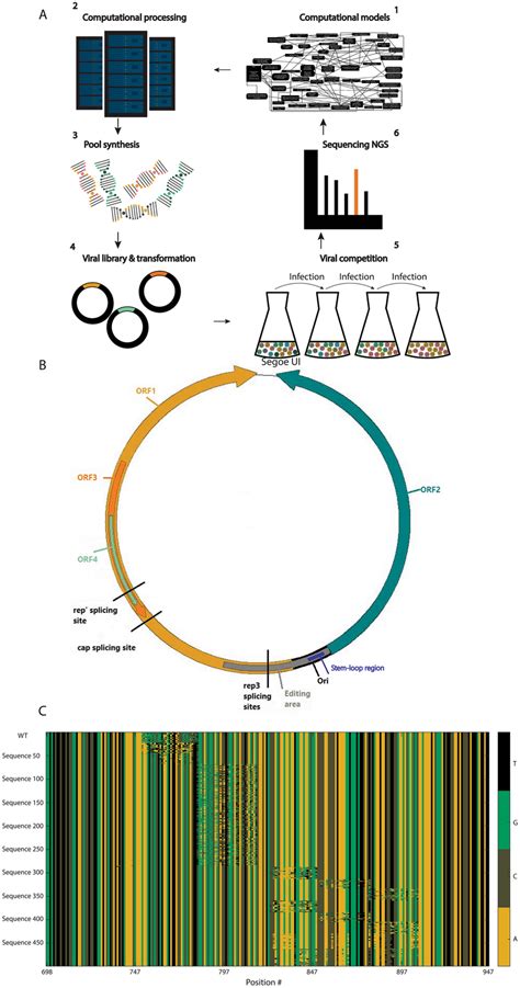 A Flow Diagram Of The Study Building Computational Models Download Scientific Diagram