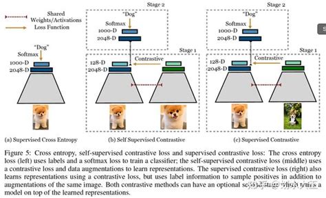 《supervised Contrastive Learning》论文阅读 知乎