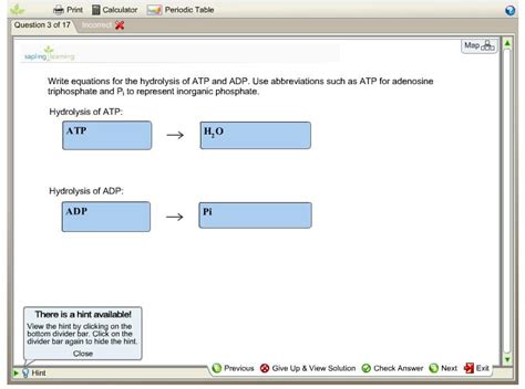 Write Equations For The Hydrolysis Of Atp And Adp