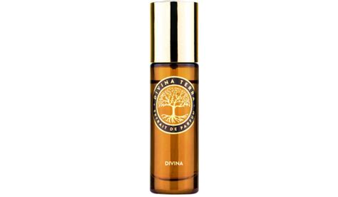 Духи / 15 мл / DiVina Terra DiVina Extrait de Parfum купить на OZON по ...