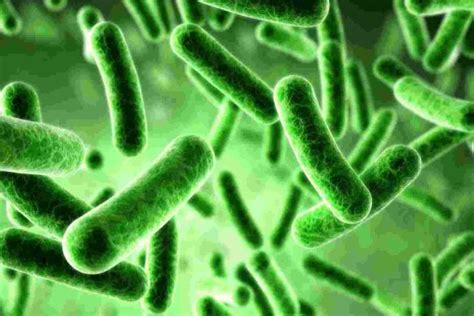 Difference Between Igcse Mathematics 0580 Mathematics With Coursework 0581 And