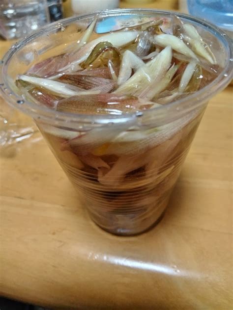 みょうがの甘酢漬け 兎兜のブログ
