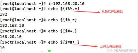 经典常用的脚本讲解csdn 脚本 Csdn博客