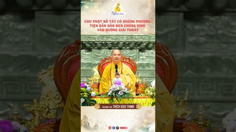 Chư Phật Bồ Tát Có Những Phương Tiện Dần Dần Đưa Chúng Sinh Vào Đường