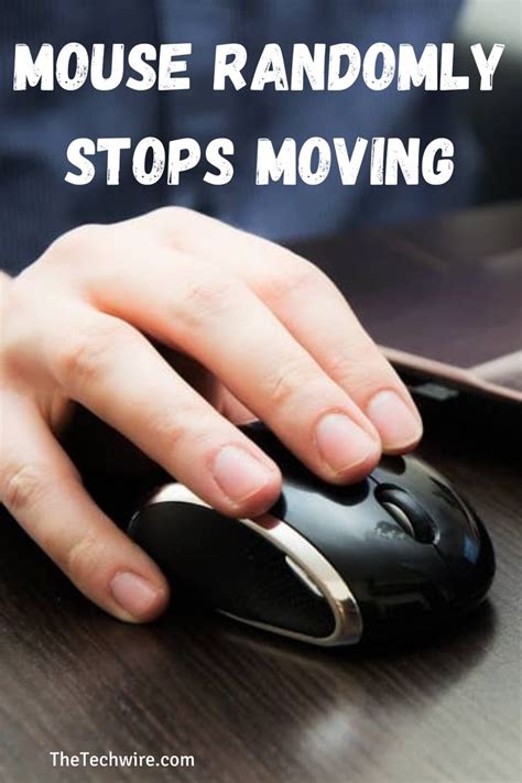 Mouse Randomly Stops Moving 12 Causes Fixes Mouse Mouse Problem