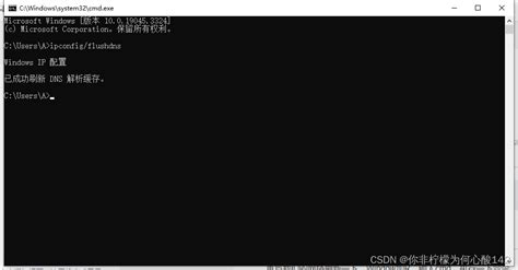 打不开github，解决方案git进不去 Csdn博客