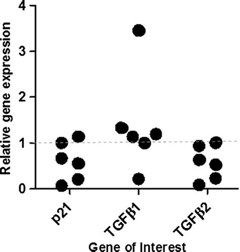 Gene Expression Analysis Using Formalin Fixed Paraffin Embedded