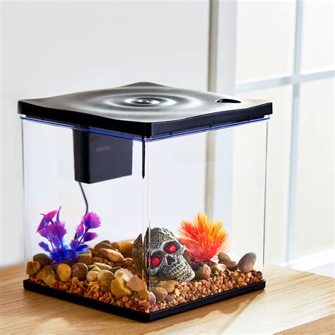 Is A 3 Gallon Tank