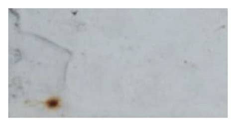 Pitting Corrosion Found In A Bridge Structure B Pipeline And C