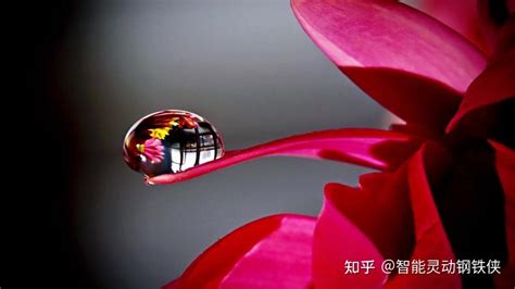 冷却除湿与加热除湿的区别 知乎