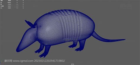 写实宽纹裸尾犰狳铠鼠食蚁兽3dmaya模型爬行动物模型下载 摩尔网cgmol