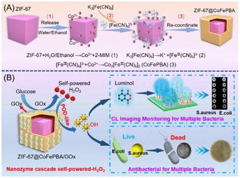 用于化学发光阵列传感器的 Nanozyme 级联自供电 H2o2 策略，用于监测和灭活多种细菌 Analytical Chemistry X Mol