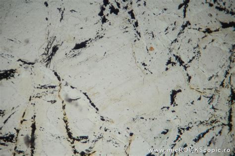 Bastite Thin Section Phyllosilicates Microckscopic