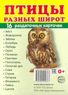Развивающие детские игры и игрушки | купить в интернет-магазине Лабиринт