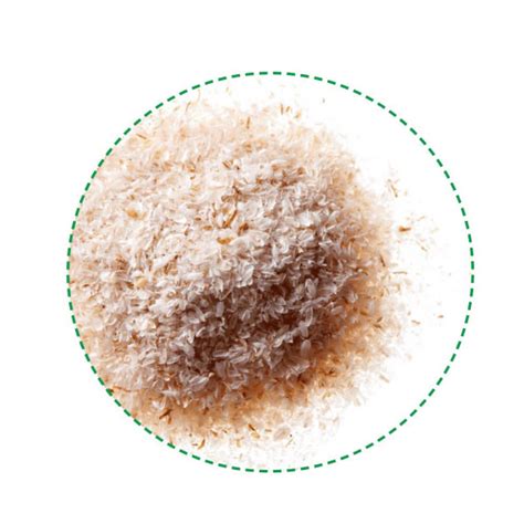 PSYLLIUM HUSK 99% | Z-Company | Natural Health Food Ingredients Wholesaler