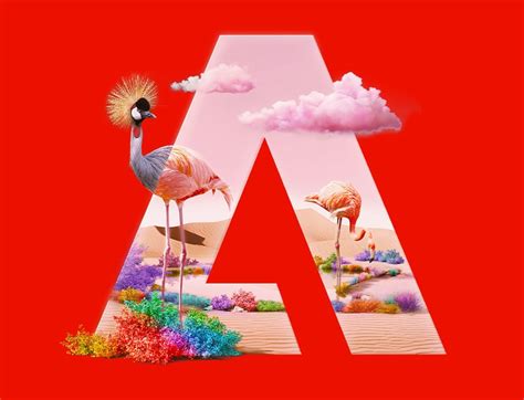 Adobe Learn 了解 Acrobat Pro How to compress a PDF file