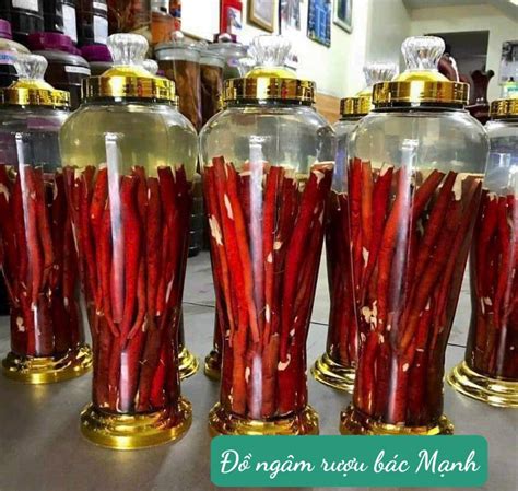 Cách Ngâm Rượu Sâm Cau đỏ Rừng Chuẩn