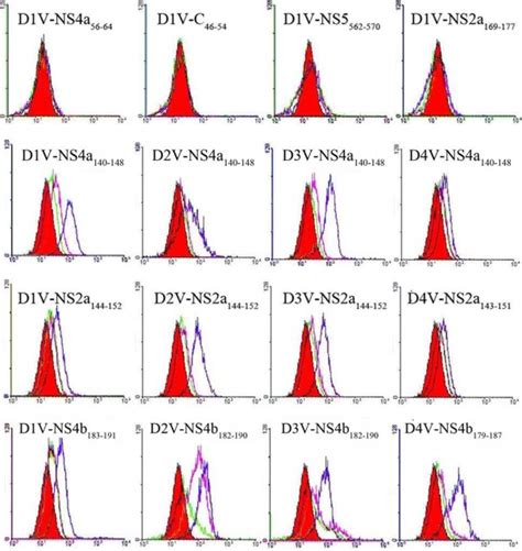 The Affinity Of Candidate Epitopes For Hla A0201 Molecules T2 Cells