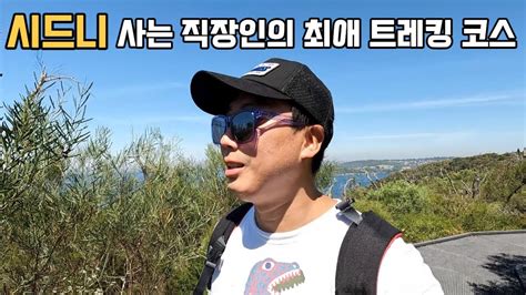 Vlog