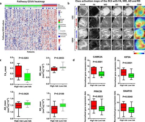 A Summary Of The Imaging Transcriptomics Prognosis Associations A A Download Scientific