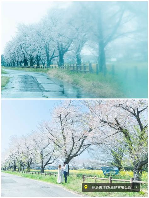 รายการจุดซากุระที่รู้จักกันน้อยไซตามะเหนือ🌸ตอนที่ 1 แกลเลอรีที่โพสต์