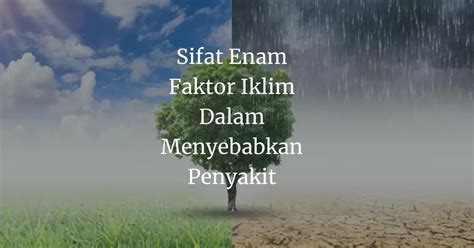 Sifat Enam Faktor Iklim Dalam Menyebabkan Penyakit Terapi Jarum