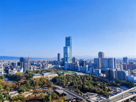 生活保護の申請同行サポート・総合支援サイト｜ほゴリラ 大阪市で生活保護を受けられる条件や支給される金額を解説！