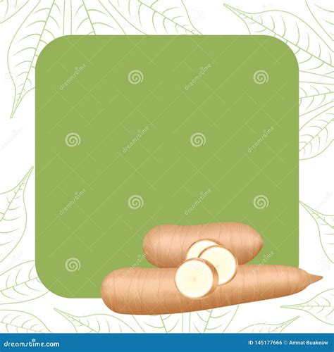 Banner Frame Of Cassava Fresh For Copy Space Cassava Cut Slice For
