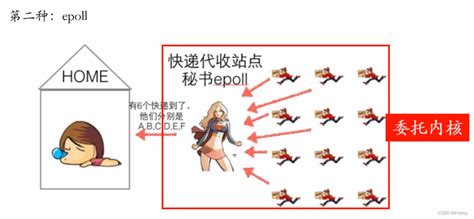 Linux高并发服务器开发（四）linux网络编程 Linux并发服务器开发手册 Csdn博客