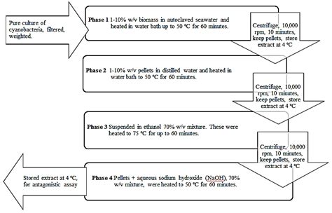 Flow Chart Of Extraction Of Bioactive Protein Extracts From Download Scientific Diagram