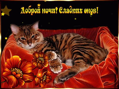 Волшебной ночи ⋆ Открытки анимация
