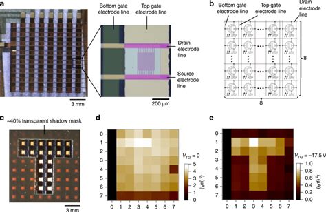 Two Dimensional 8 × 8 Array Of Dual Gate Organic Phototransistors For Download Scientific