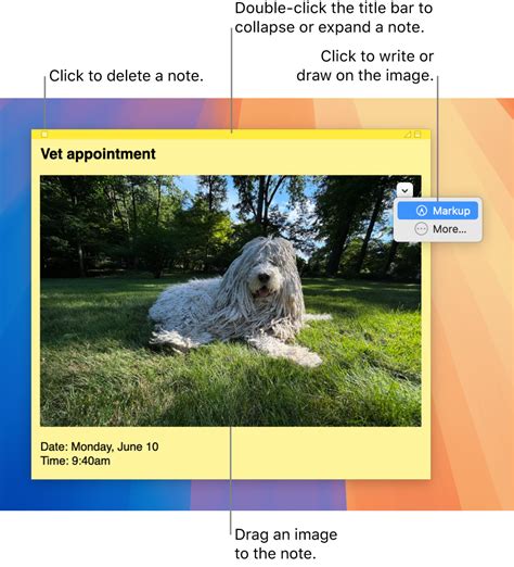 Stickies User Guide For Mac Apple Support