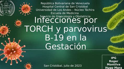 Infecciones Por Torch Y Parvovirus B 19 En La Gestación Linda Rosmery