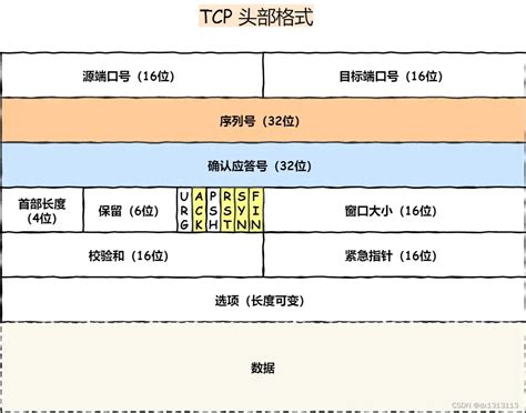 （学习笔记 Tcp基础知识）tcp与udp区别udp模块和tcp模块 Csdn博客