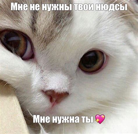 Meme Мне не нужны твои нюдсы Мне нужна ты All Templates Meme arsenal