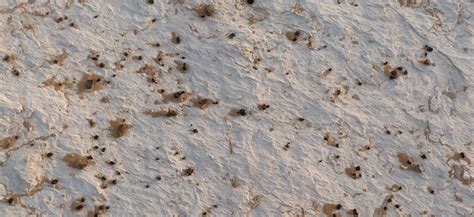Practice Standards For Ctf Resource Mobilization — Conservation