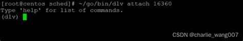 Golang笔记 Mutex，抢占式调度，semaphoremutex抢占模式 Csdn博客
